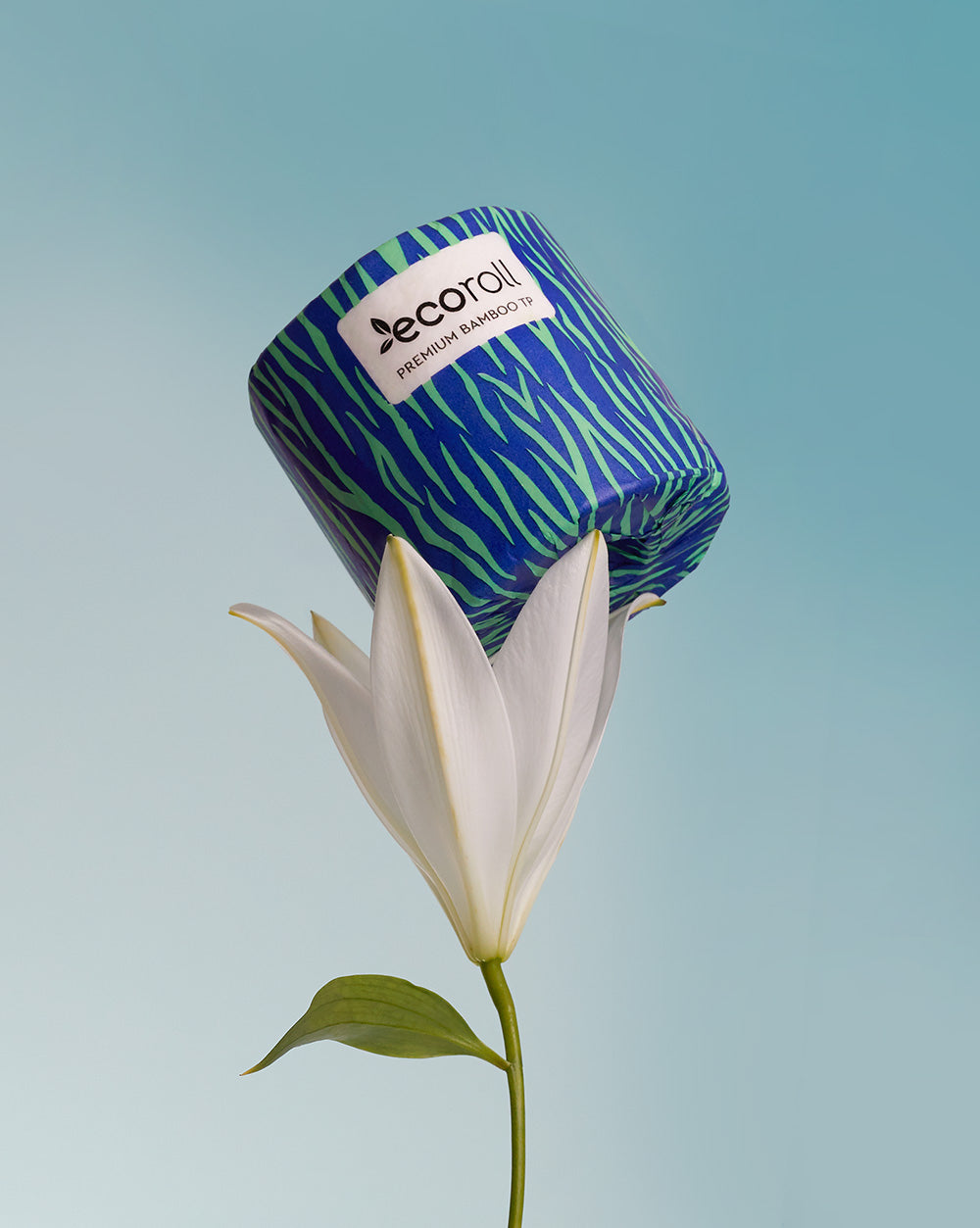 2-ply Premium Bamboo Toilet Paper: 100% FSC® Certified – EcoRoll